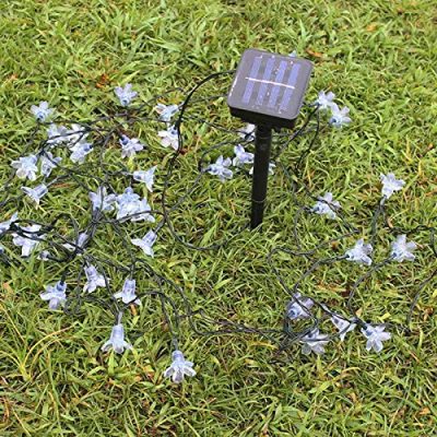 How To Brighten Your Outdoor Space With Solar Powered String Lights