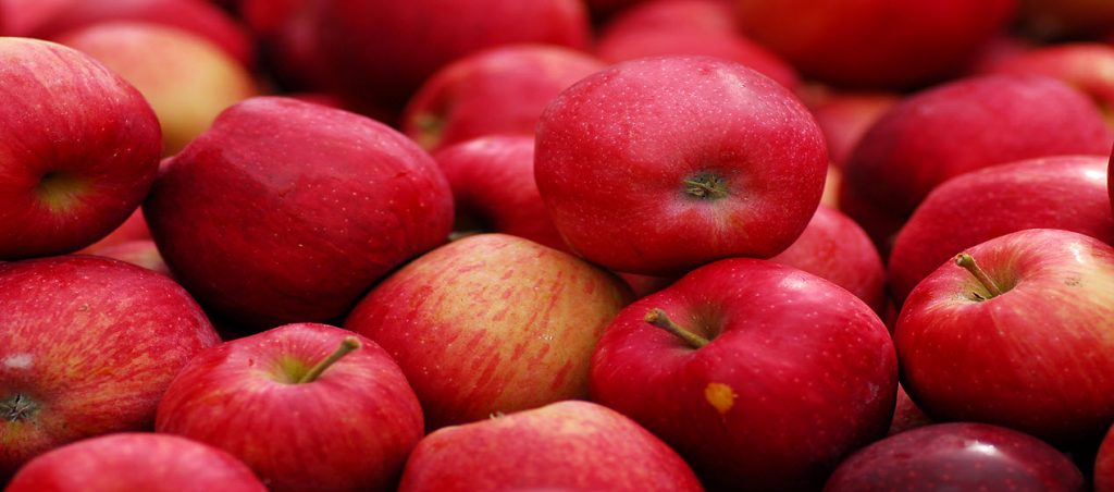 6 Of The Best Apple Recipes You Need to Try This Fall