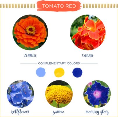 32 Beautiful Summer Flowers And Their Complementary Colors