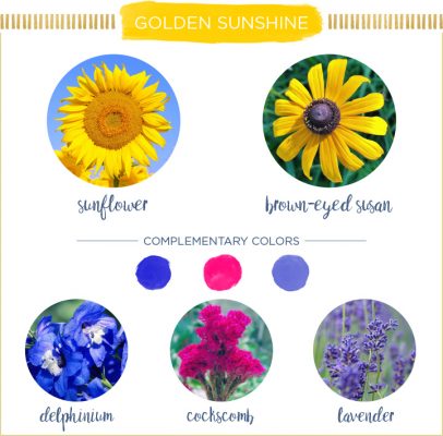 32 Beautiful Summer Flowers And Their Complementary Colors