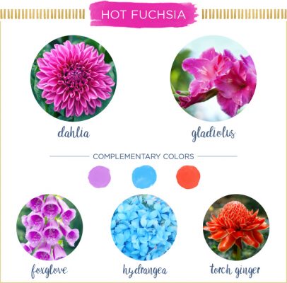 32 Beautiful Summer Flowers And Their Complementary Colors