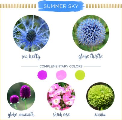 32 Beautiful Summer Flowers And Their Complementary Colors