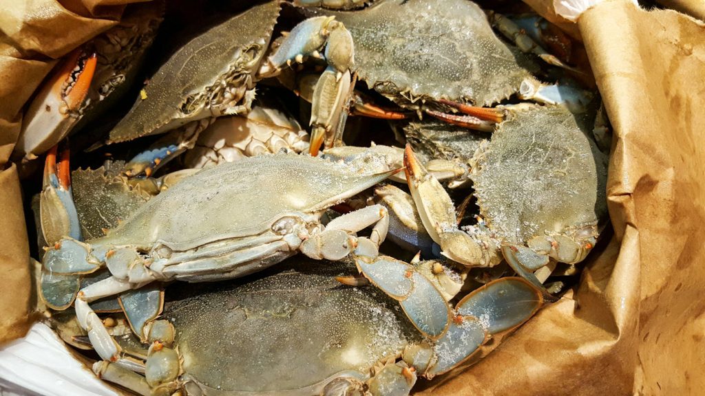 Fried Blue Stone Crabs In Savory Tomato Sauce Over Pasta Recipe