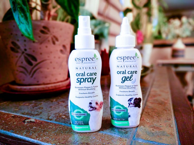 The Art Of Decorating With Artificial Plants - Easy Carefree Decor Ideas