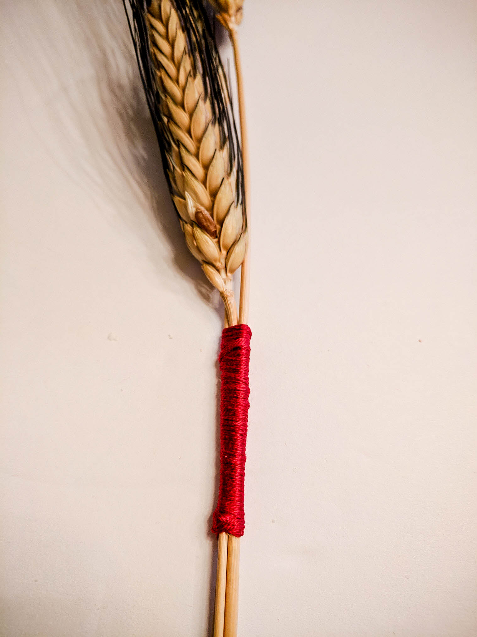 Color Wrapped Wheat - Simply Stunning DIY Fall Decor – Crafts