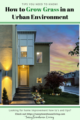 How to Grow Grass in an Urban Environment – Home & Garden