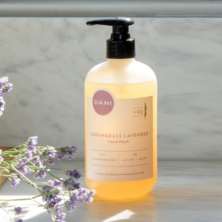 DANI Naturals Hand Soap & Body Lotion - My Latest Scent Obsession!