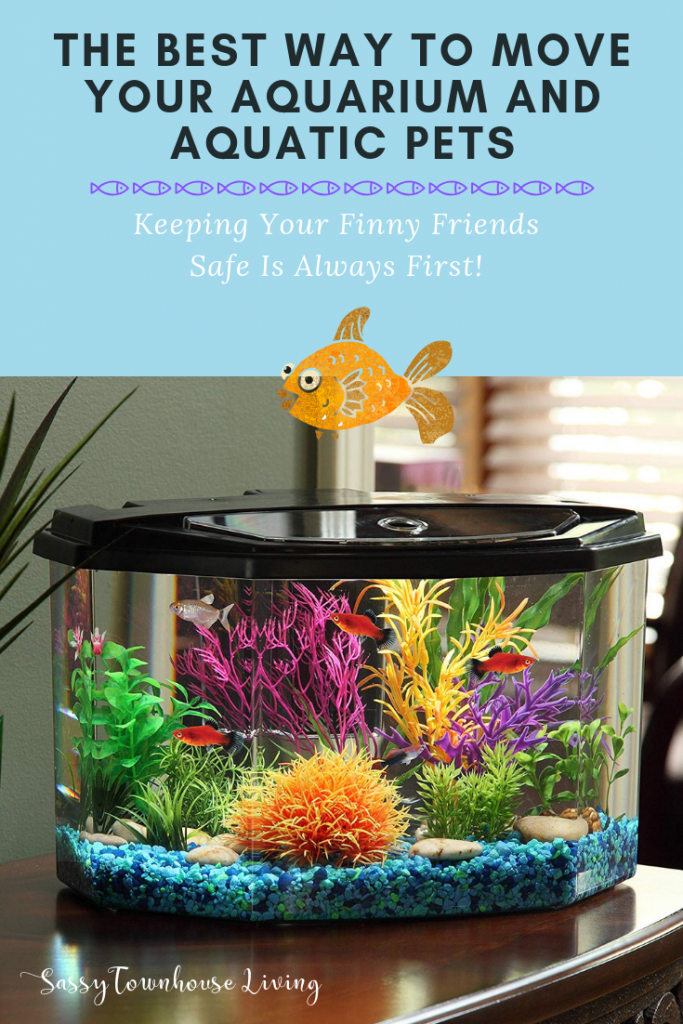 The Best Way To Move Your Aquarium and Aquatic Pets