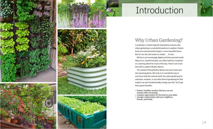 7 Books You Need To Read For The Fall Season – Home & Garden