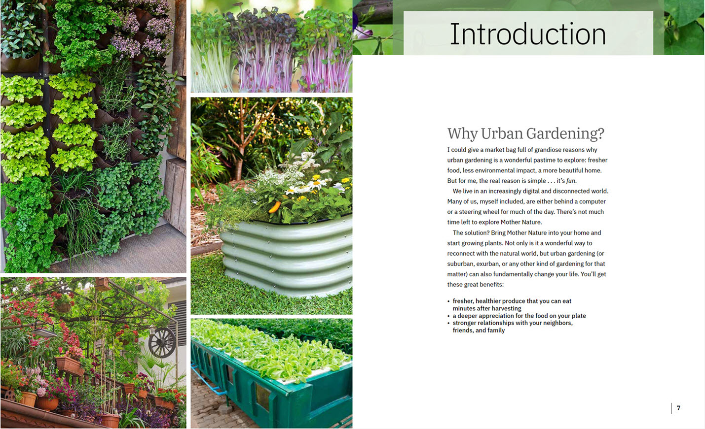 7 Books You Need To Read For The Fall Season – Home & Garden