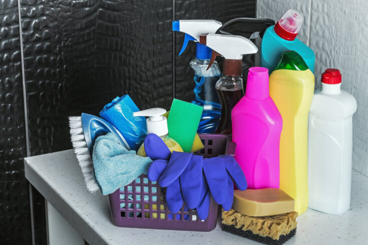 5 Of My Favorite Must-Have Deep Cleaning Tools – Home & Garden