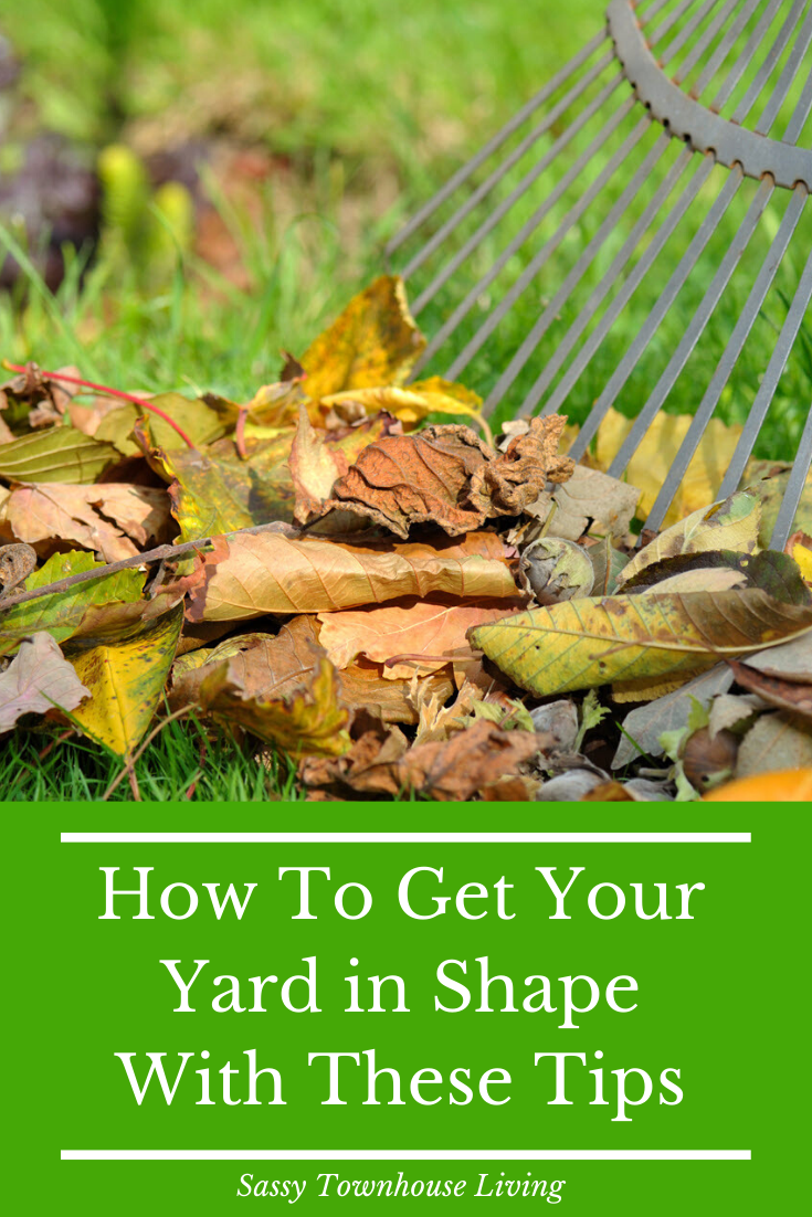 How To Get Your Yard in Shape With These Tips – Home & Garden