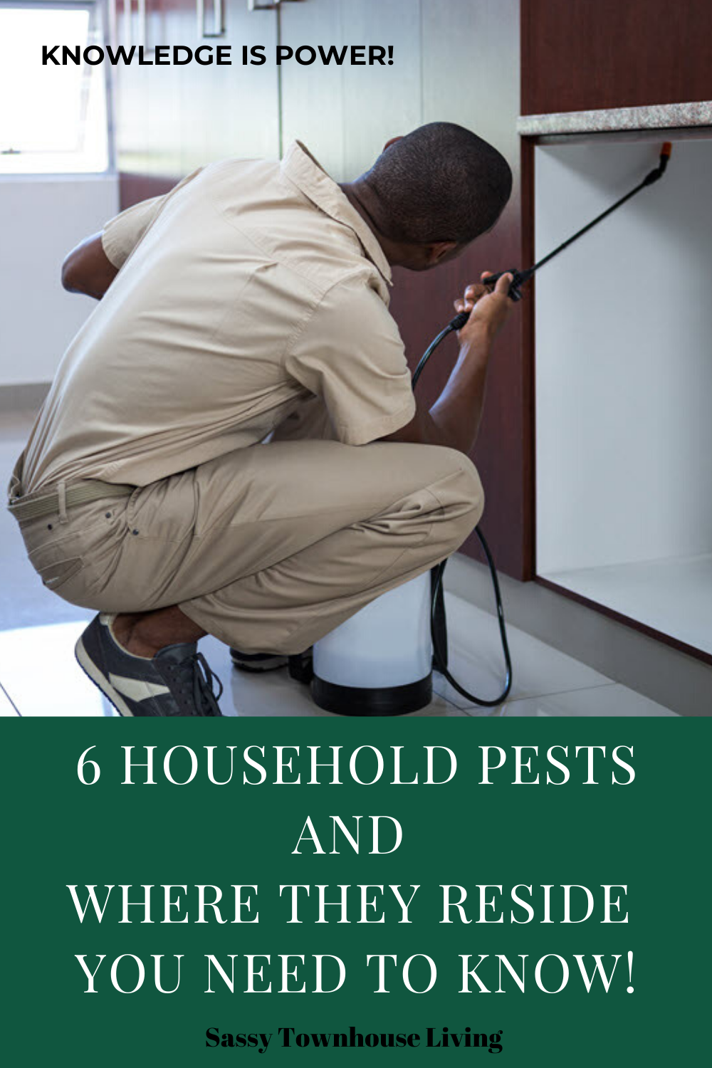 6 Household Pests And Where They Reside You Need To Know