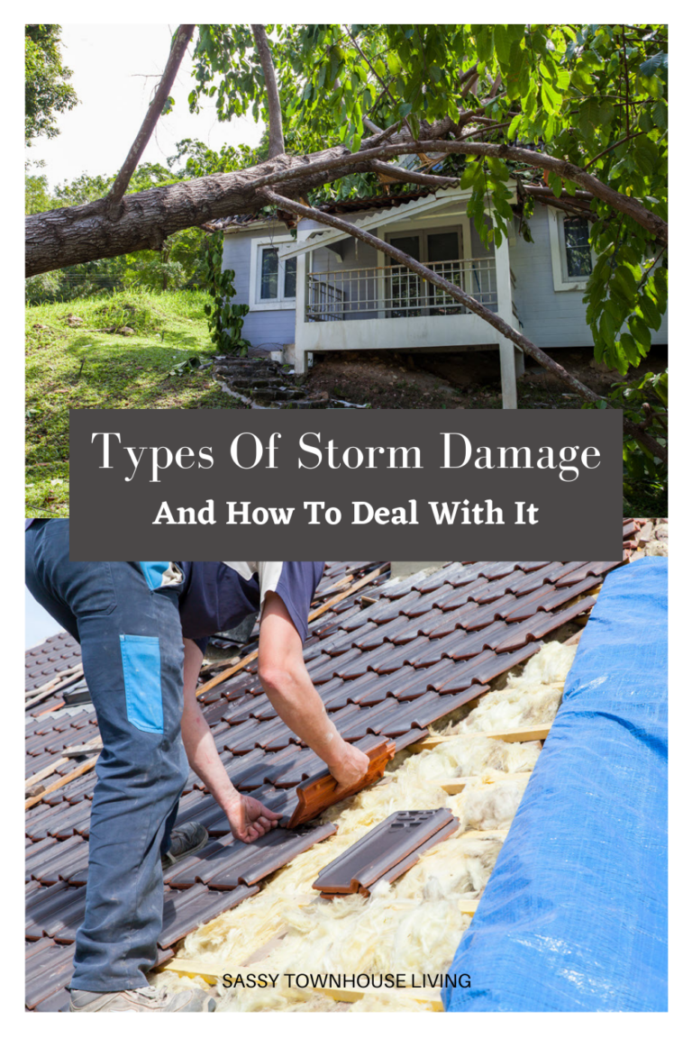Types Of Storm Damage And How To Deal With It – Home & Garden