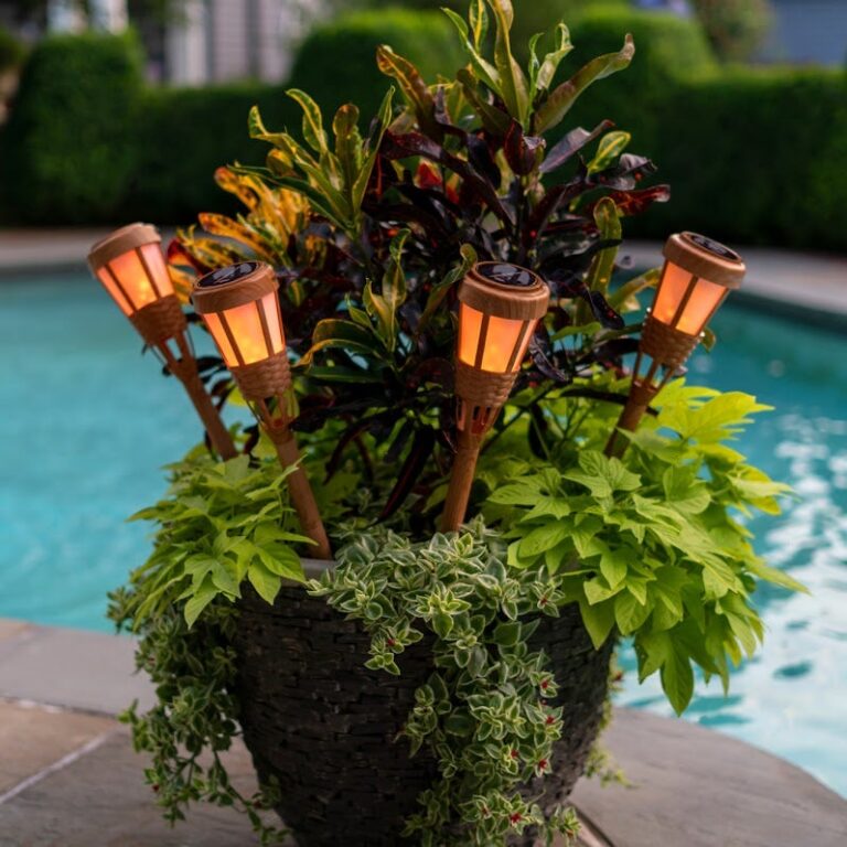 Transform Your Backyard Swimming Pool With Resort Style Upgrades