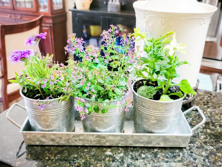 5 Beautiful Home Decor Elements That Instantly Transform Your Space