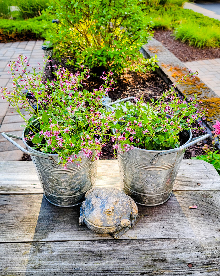 5 Beautiful Home Decor Elements That Instantly Transform Your Space