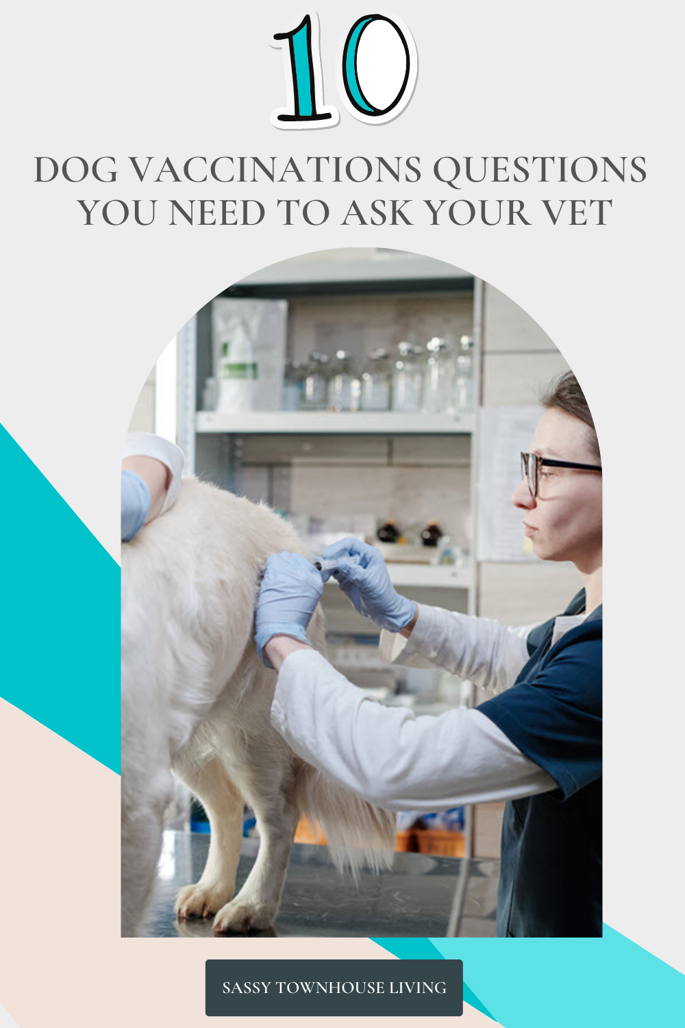 10 Questions About Dog Vaccinations You Need To Ask Your Vet
