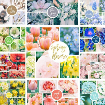42 Spring Flowers Inspired by Pantone Colors of the Year
