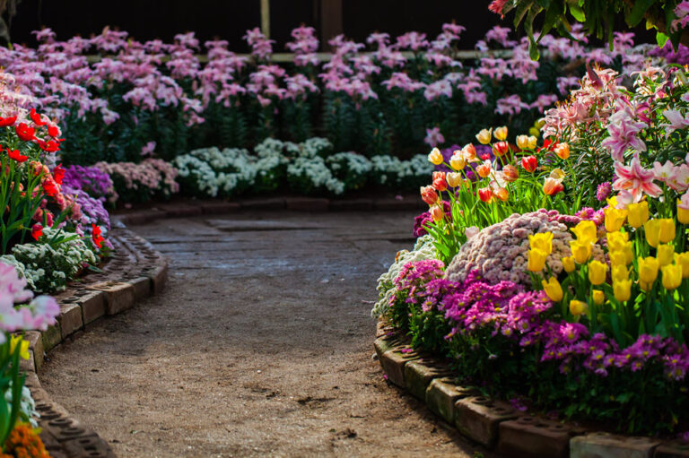 5 Beautiful Colorful Garden Ideas You Need To Know