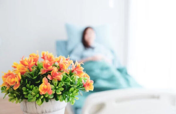 10 Wonderful Benefits Of Indoor Plants You Need To Know