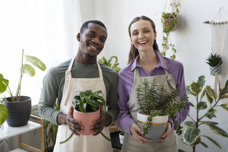 10 Wonderful Benefits Of Indoor Plants You Need To Know