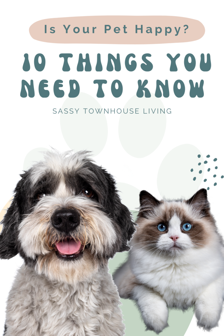 Is Your Pet Happy? 10 Things You Need To Know