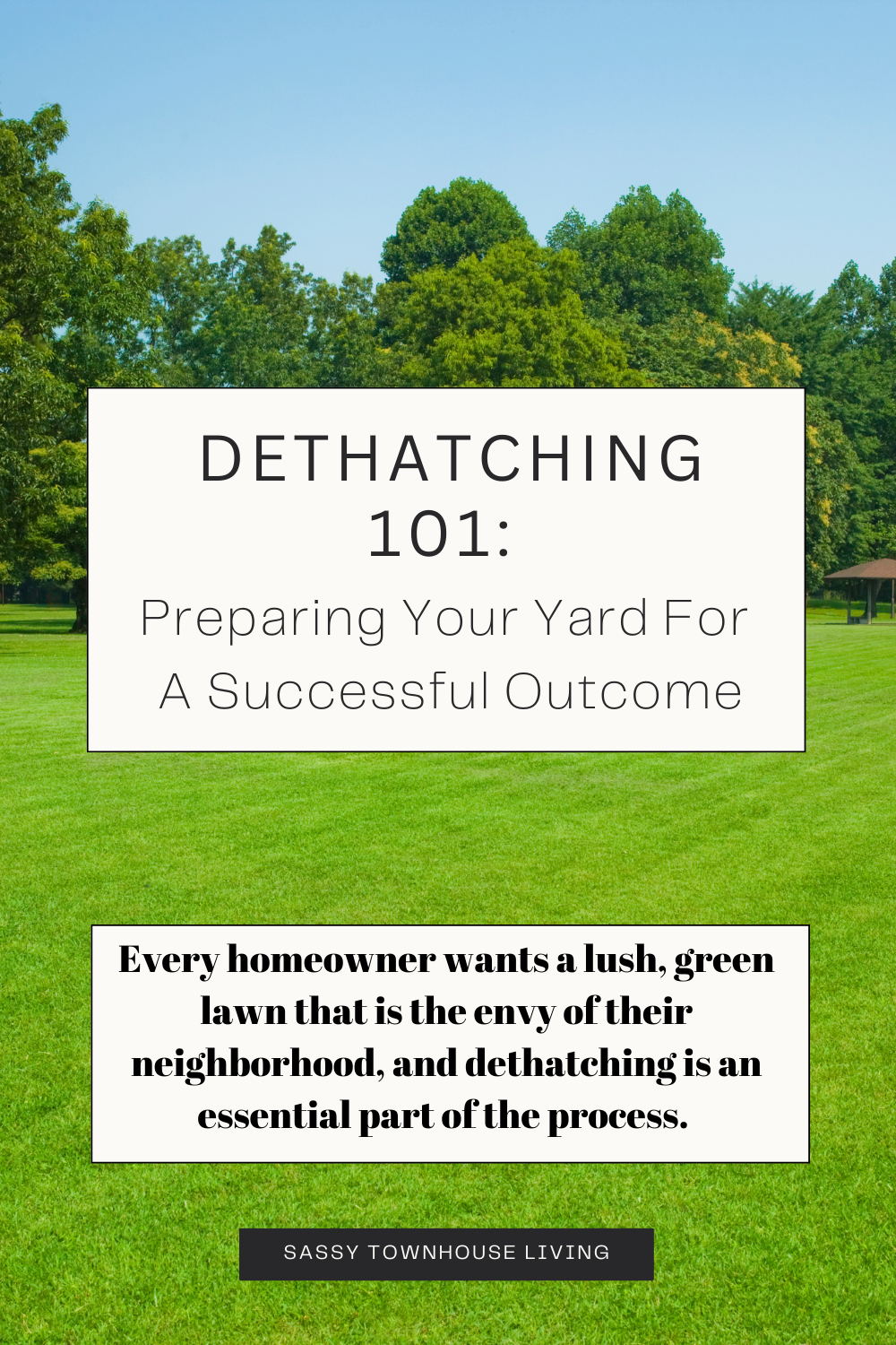 Dethatching 101: Preparing Your Yard For A Successful Outcome