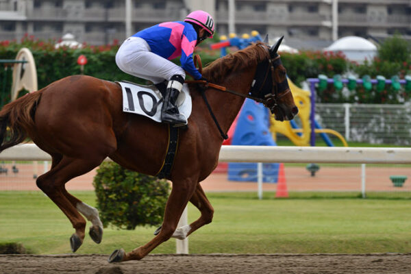 Weight Loss Tips for Jockeys: What They Eat To Stay In Shape