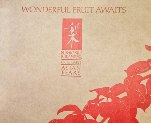 Holiday Shopping Guide Exciting Products You Need To See