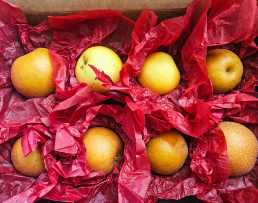 Holiday Shopping Guide Exciting Products You Need To See