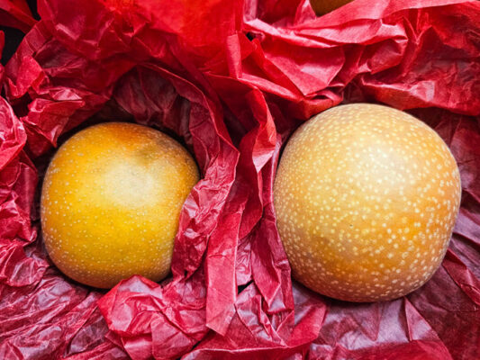 Holiday Shopping Guide Exciting Products You Need To See